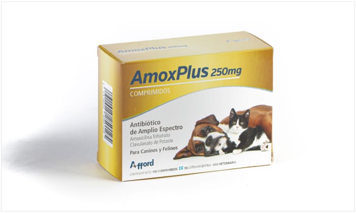 Amox Plus 250mg x 100 comp. (Afford) - Universo Mascota