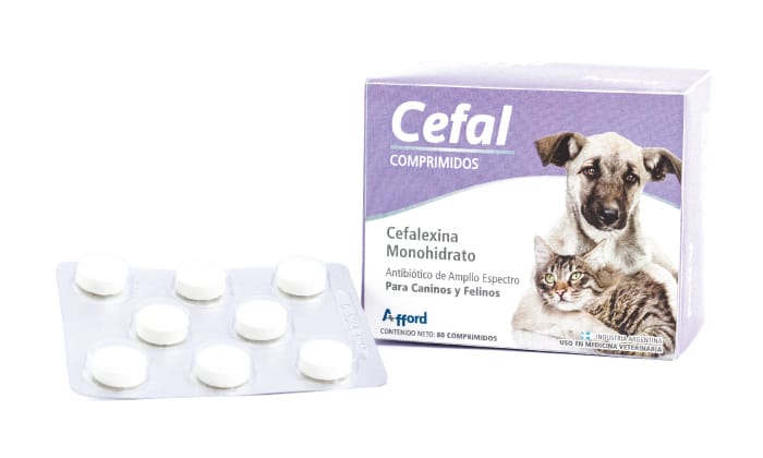 Cefal 500mg x 80 comp. (Afford) - Universo Mascota